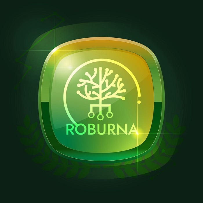Demystifying Proof-of-Earn: The Engine Behind Roburna