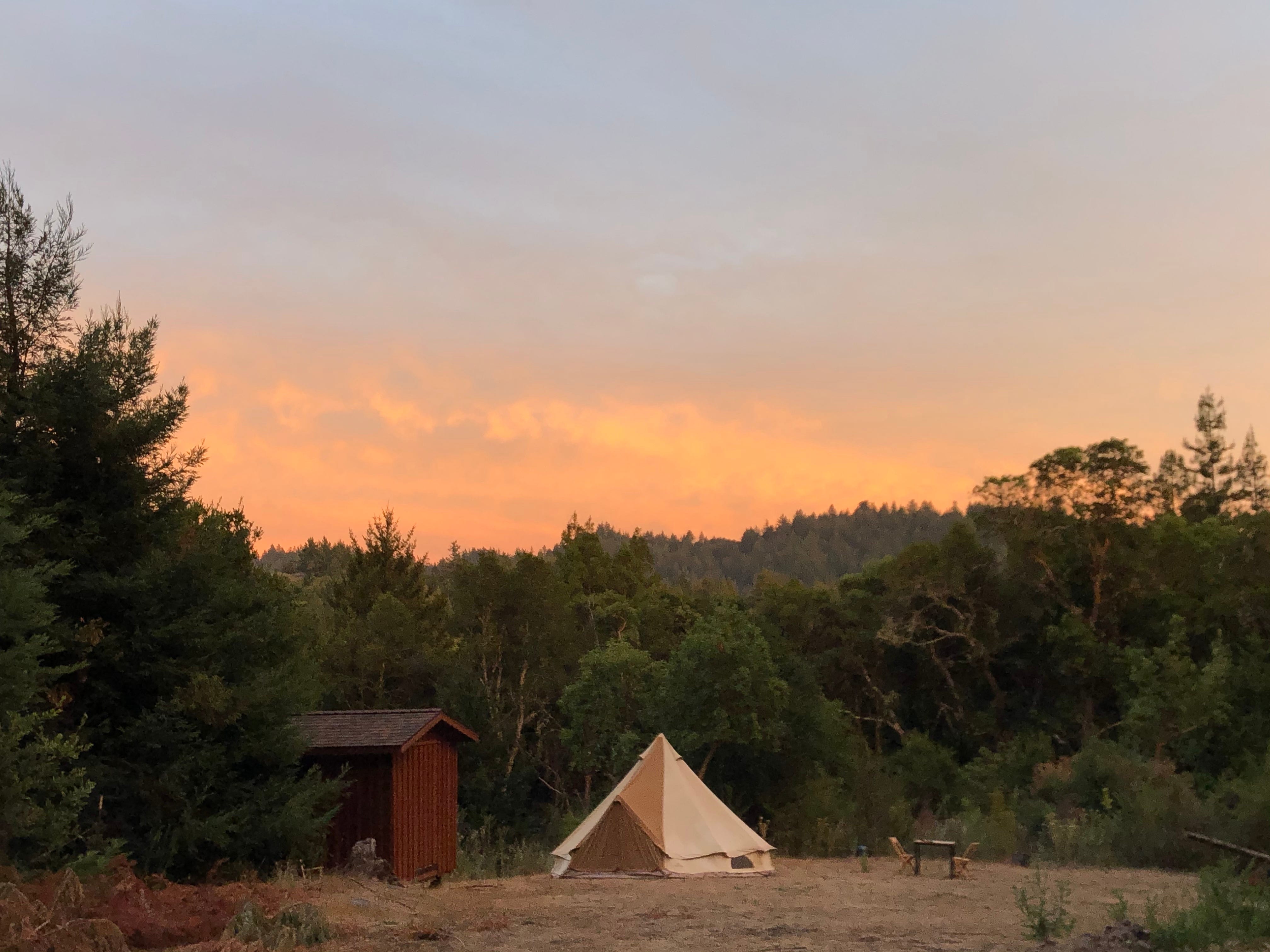 I Bought 30 Acres With 7 Friends: A Starter Guide to Communal Ownership