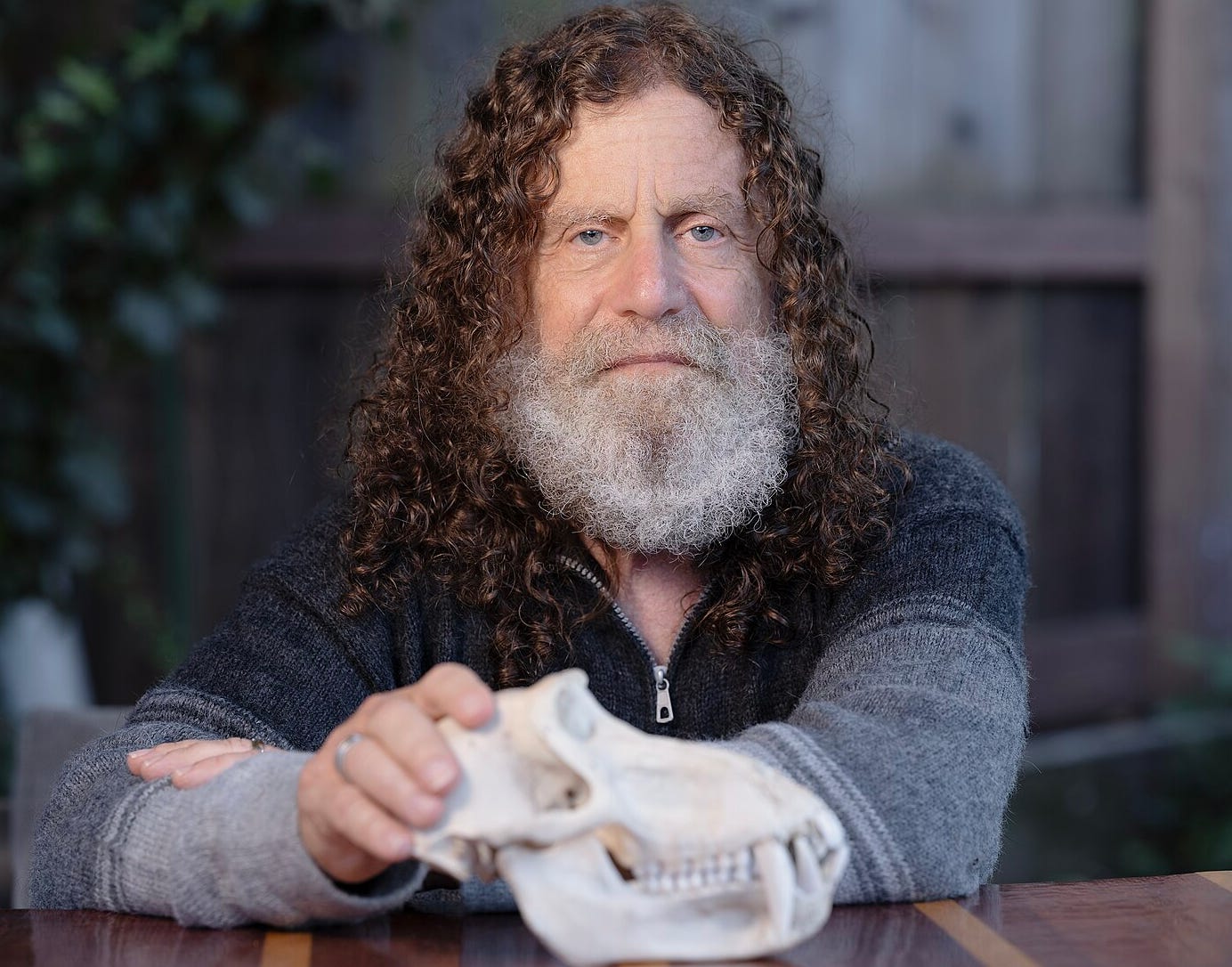 In defense of free will and punishment - Aporia