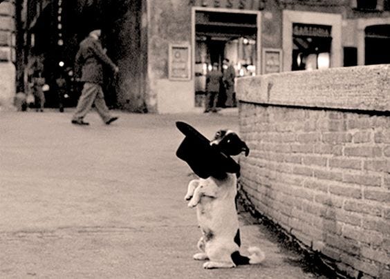 Passing the Hat - by Thomas J Bevan - The Commonplace