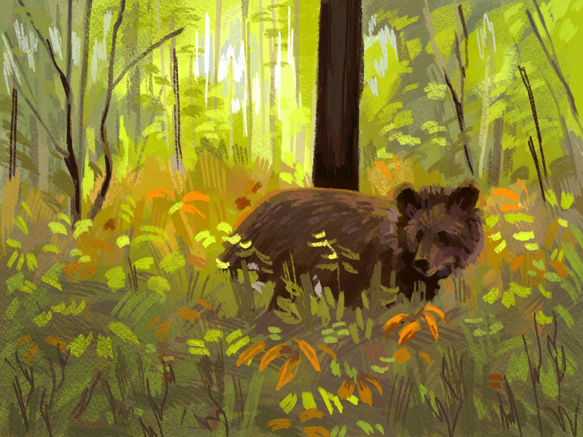 november art! - august campbell monthly