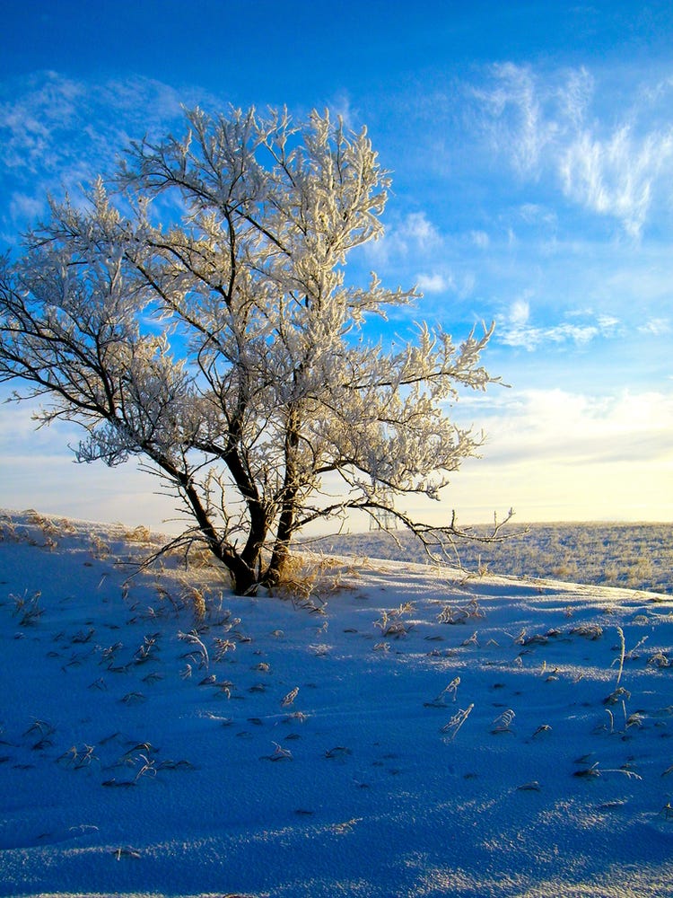 Class Seating - by Jace Hargis - Jace SoTL Substack