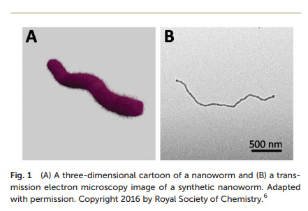 Self Assembly Hydrogel Polymers, Historical Research Context Of ...