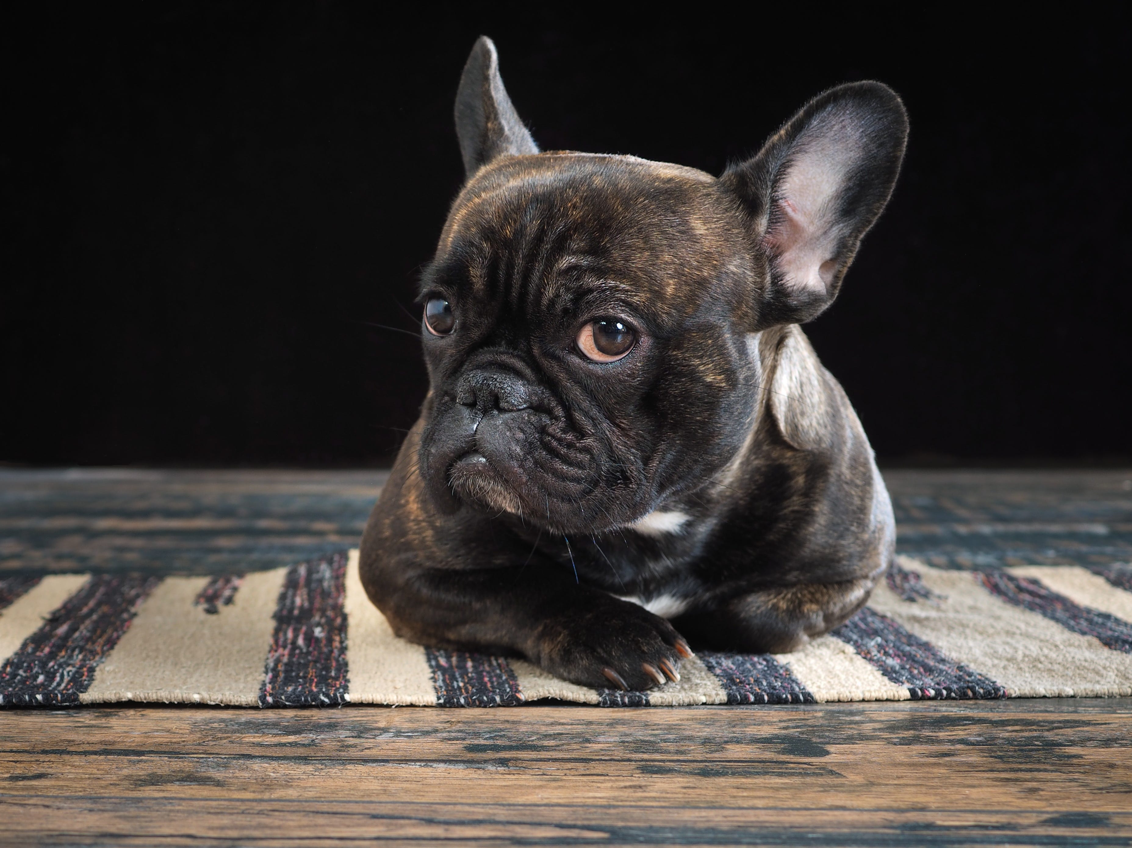 Daring To Try - by Marjie Alonso