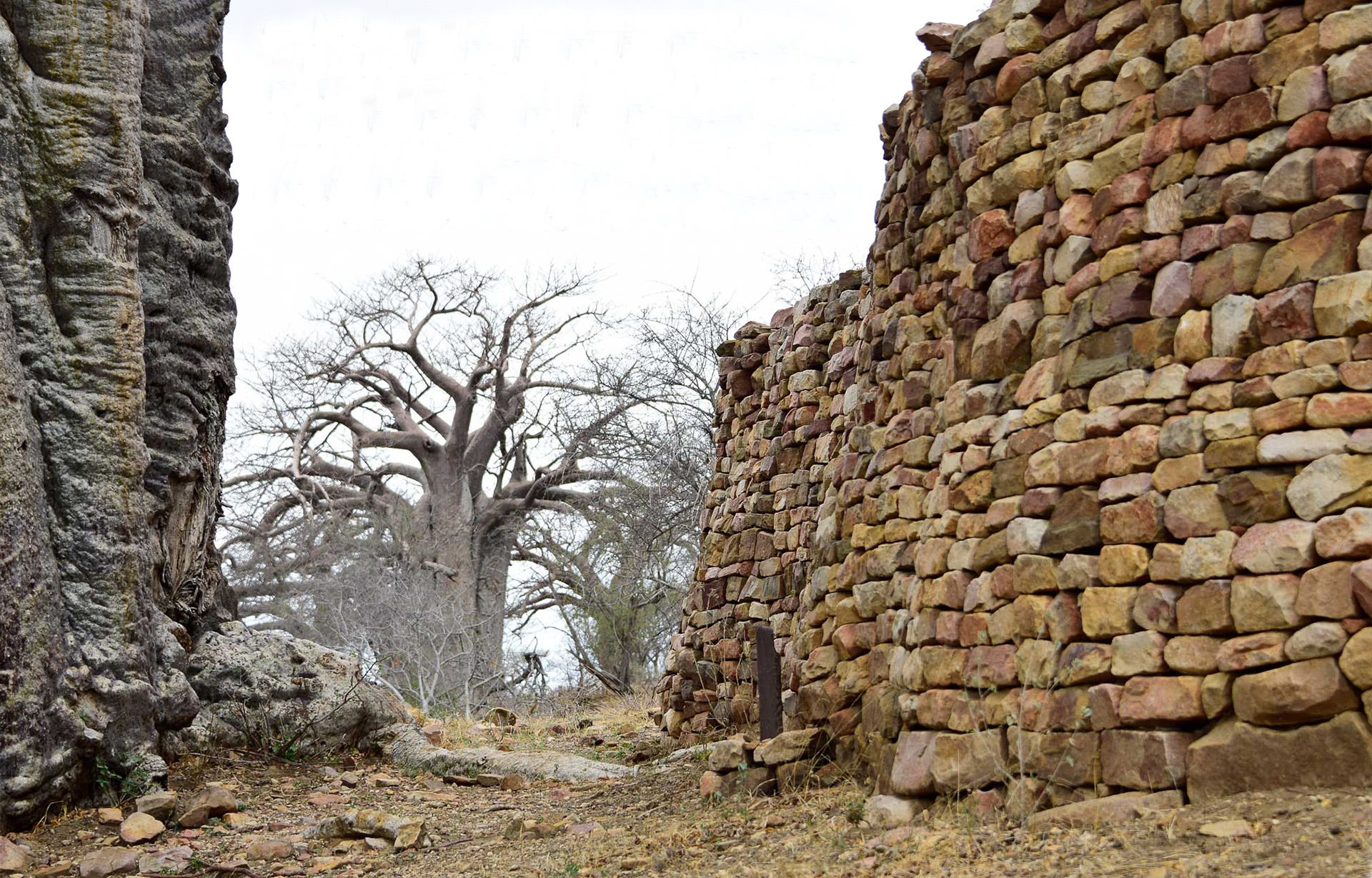 The stone ruins of South Africa: a history of Mapungubwe, Thulamela and ...