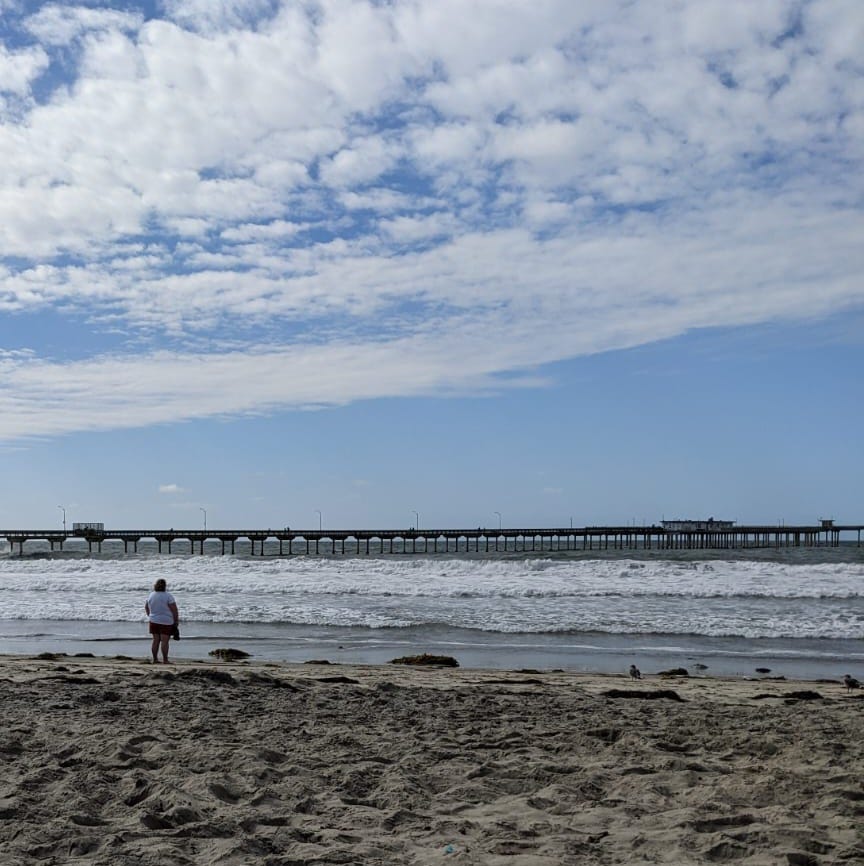 Susan Anderson | Substack