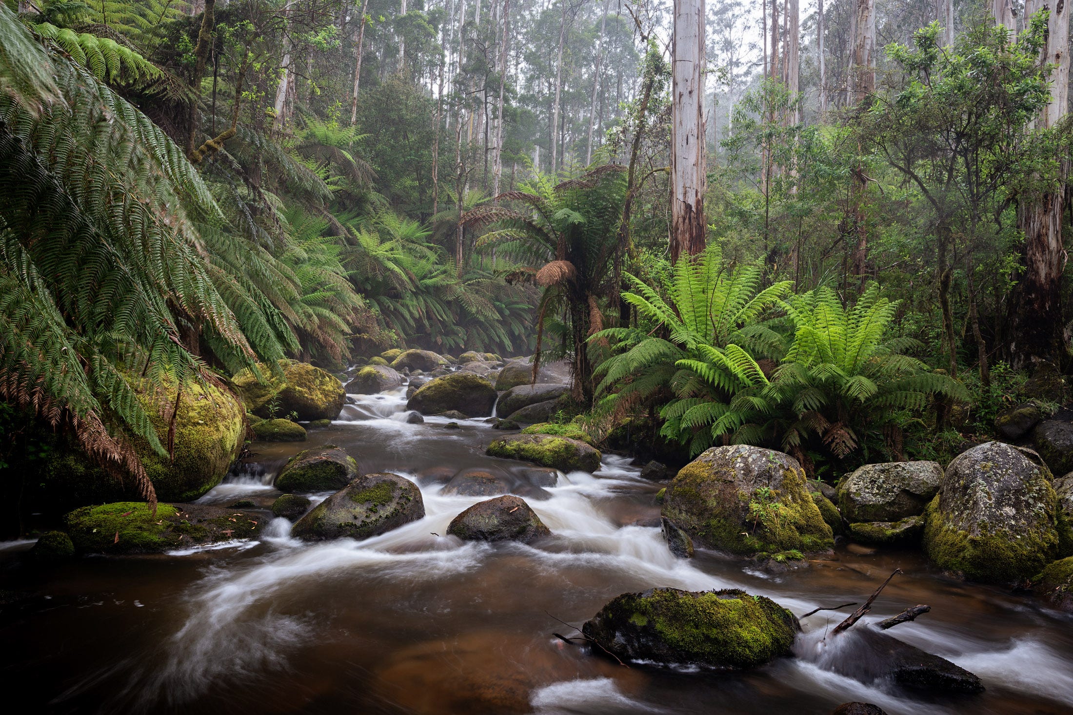 Chasing the light at Toorongo Falls - by James Hider