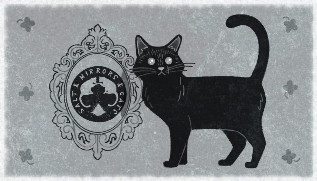 Salt & Mirrors & Cats - by Signe Maene