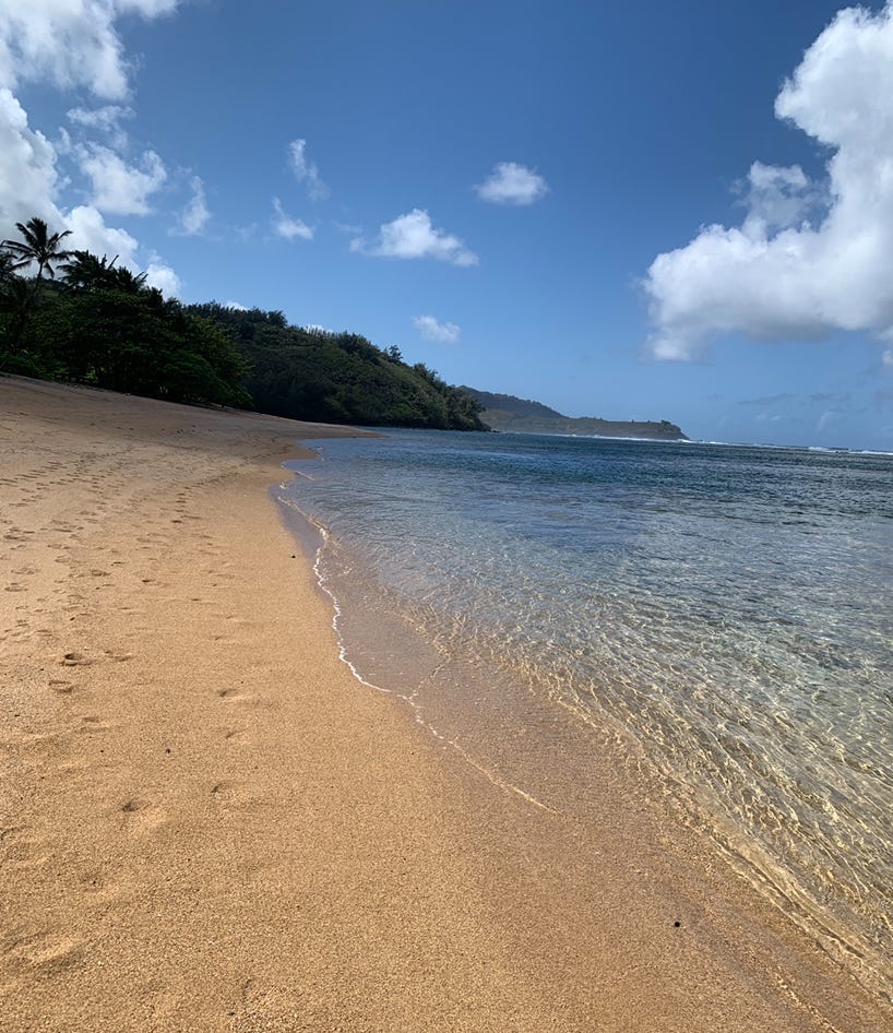 All Things Salt Water - by Lila Danielle