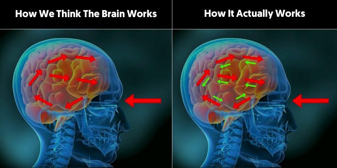 The Road To Human Super Intelligence