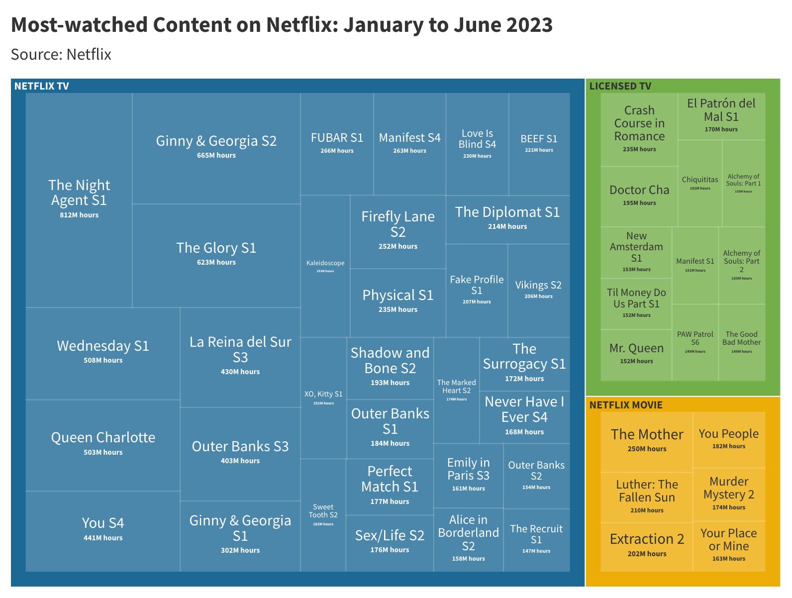 What Was Watched on Netflix in 2023? A Statistical Analysis