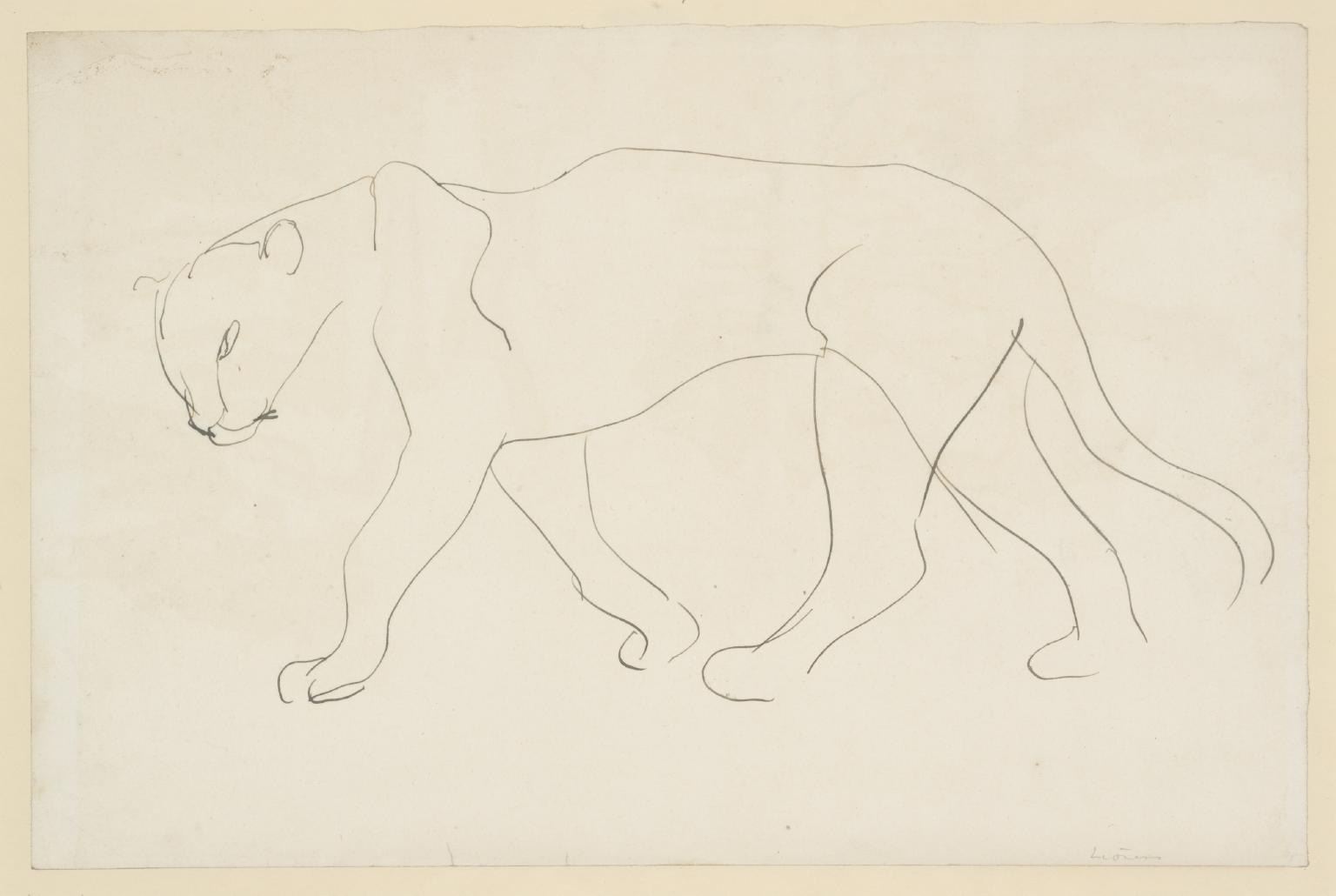 Ginger - Söneer’s Substack