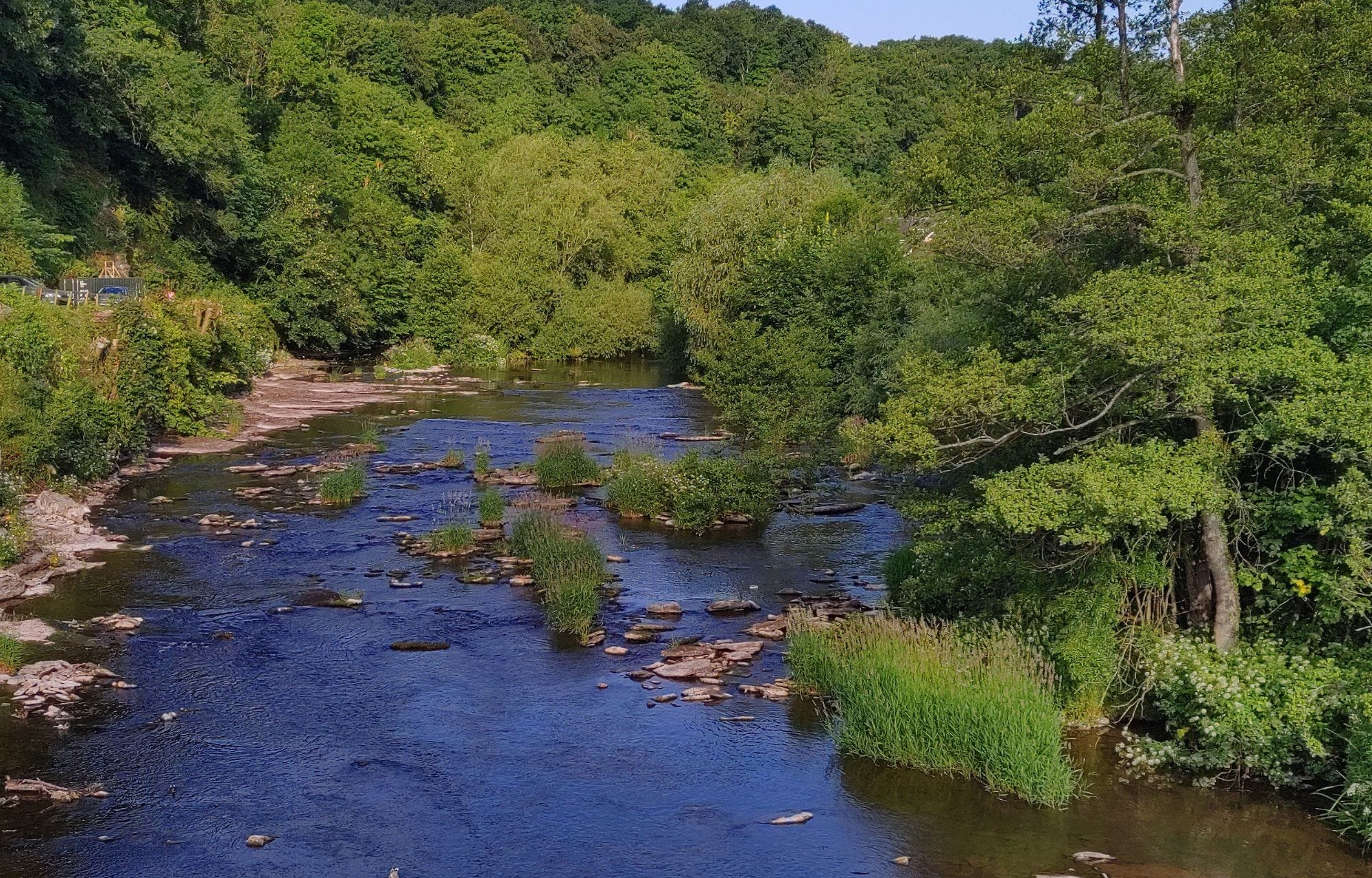 New Evernote Task Feature & Free Home Graphics