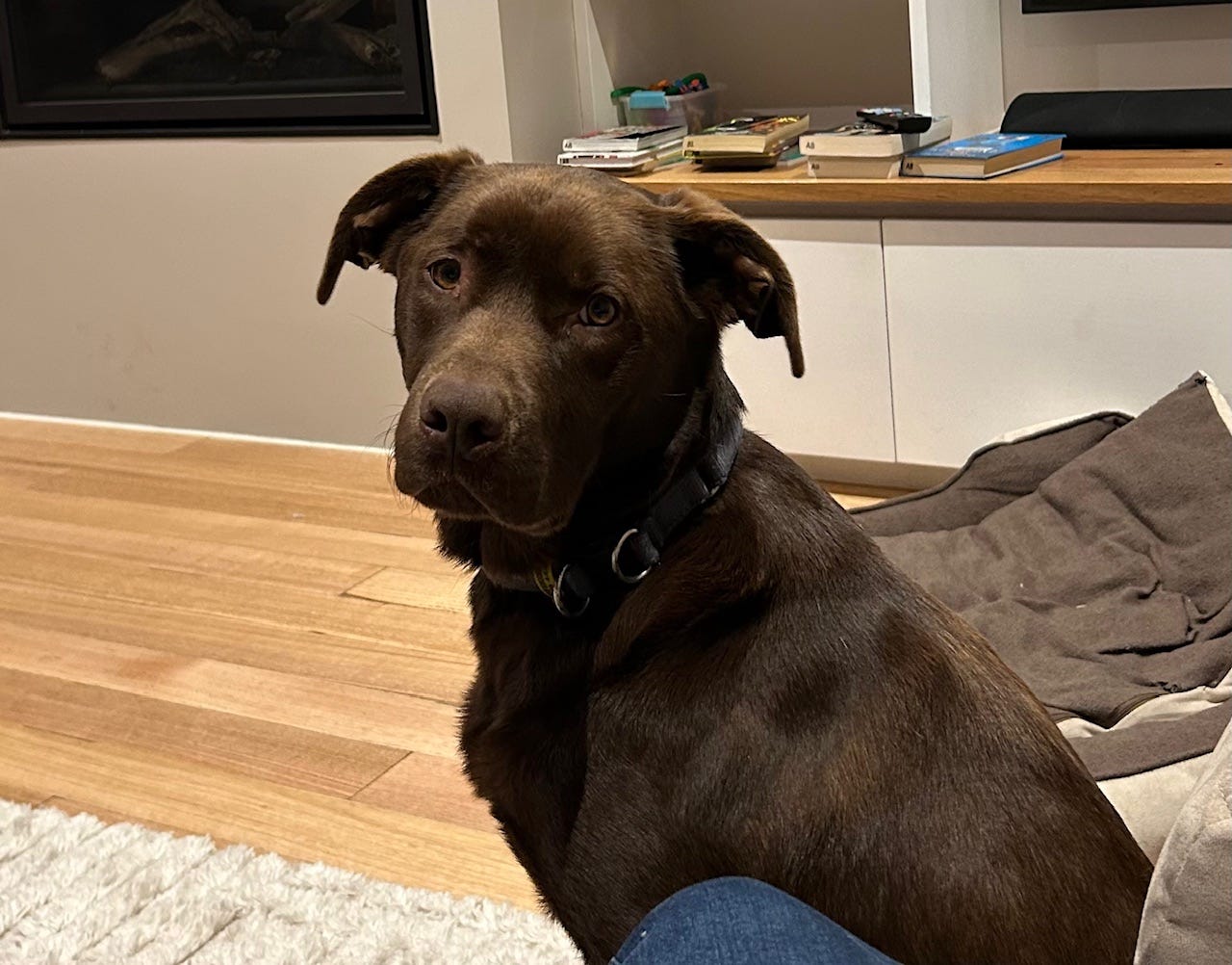 Flying into the Land Down Under - by Emily Wojcik