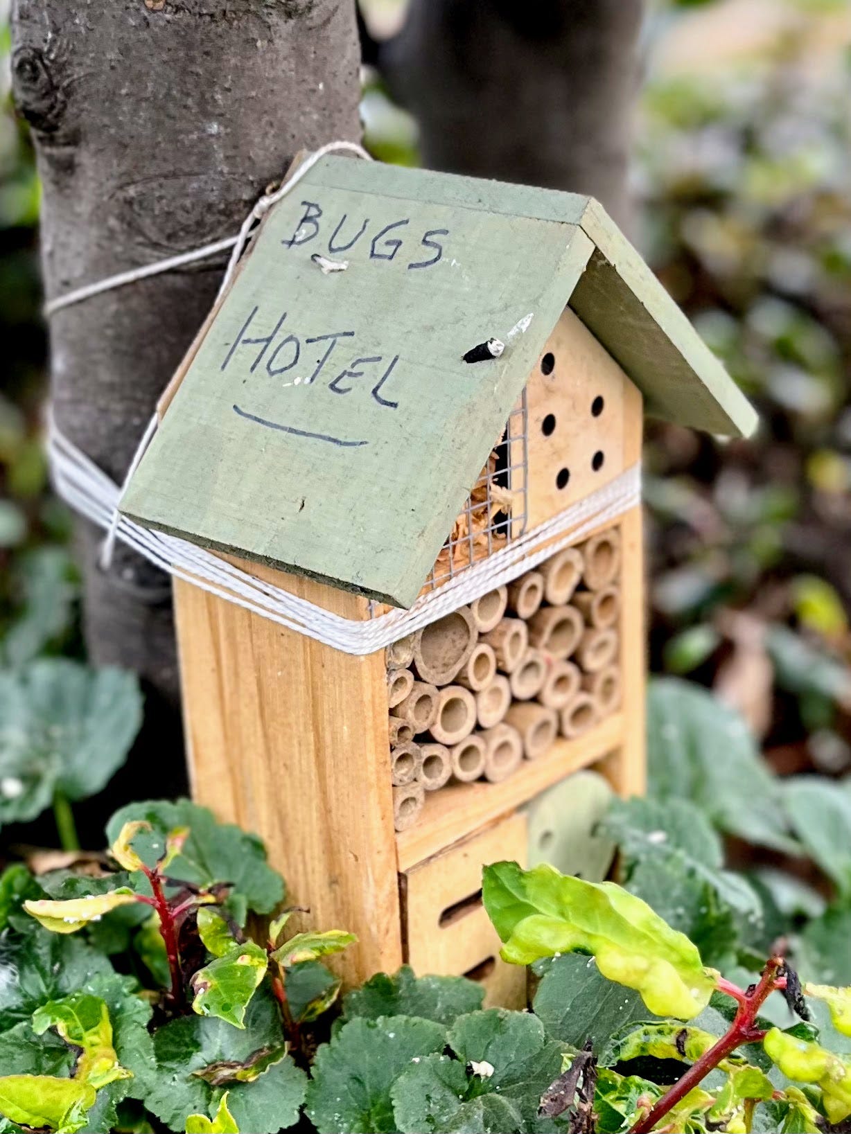 #193: More Pics from the Road - Kate McDermott's Newsletter