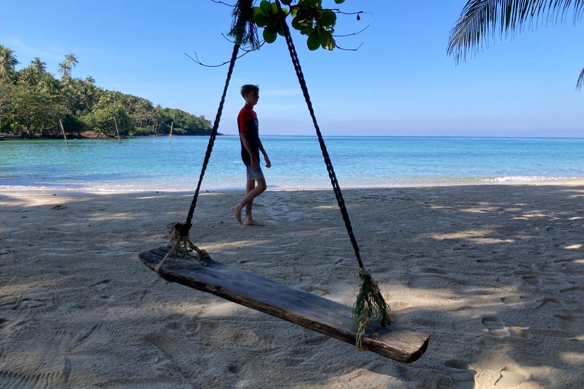 Travelfish #501: The New Beginnings Edition