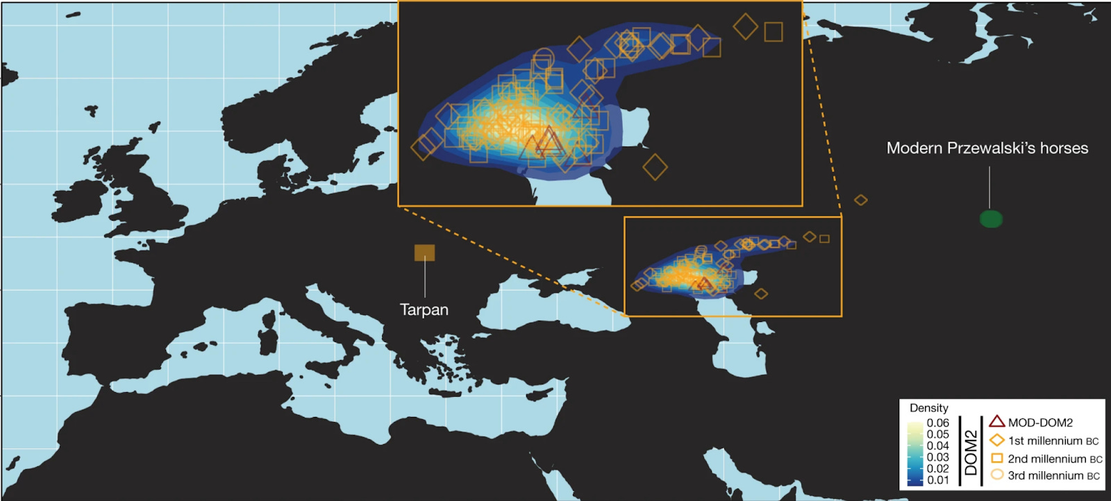 Horse Power | E03 | The Horse Domestication Process