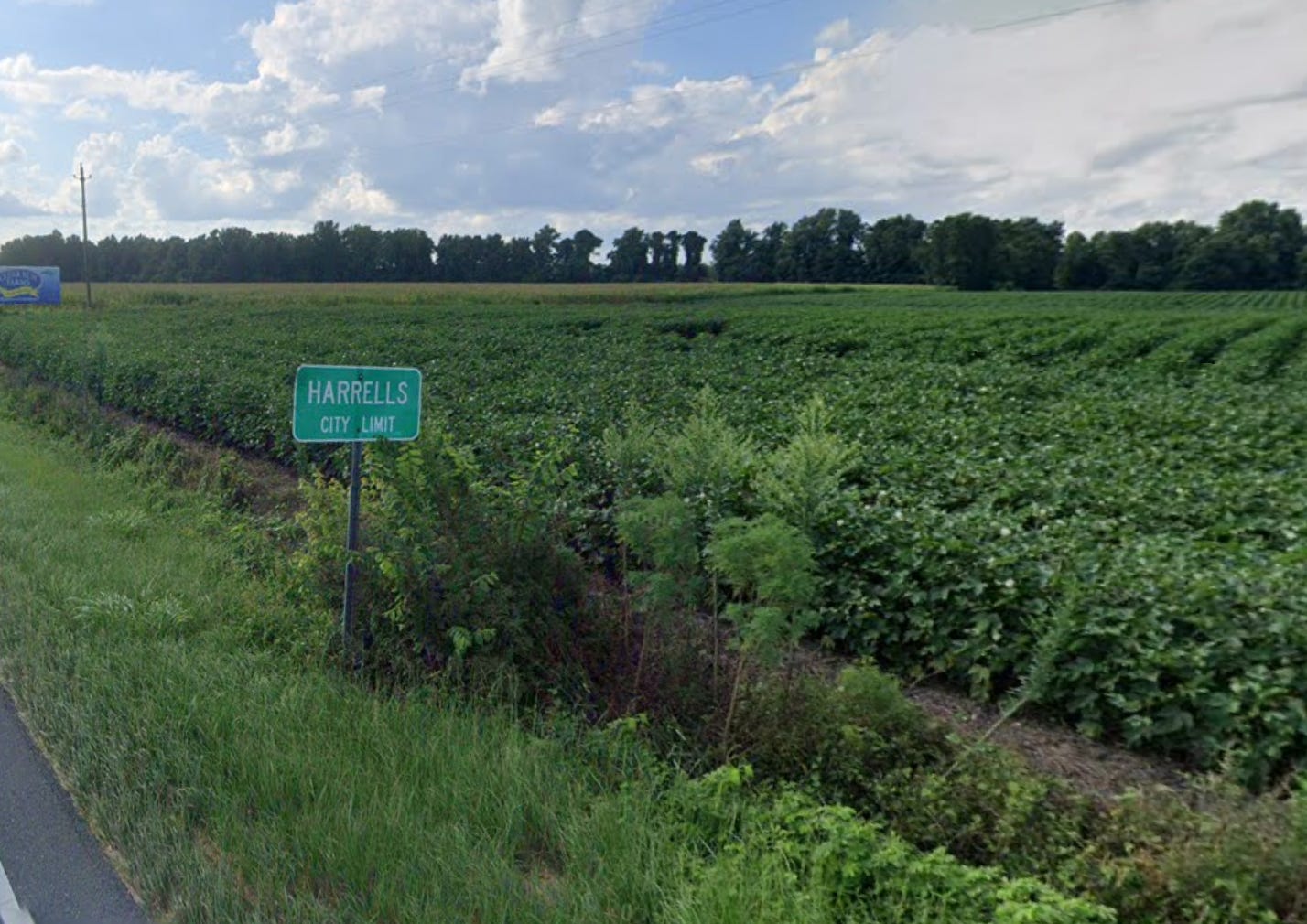 A Minor Mystery: The Case Of The Missing "S"