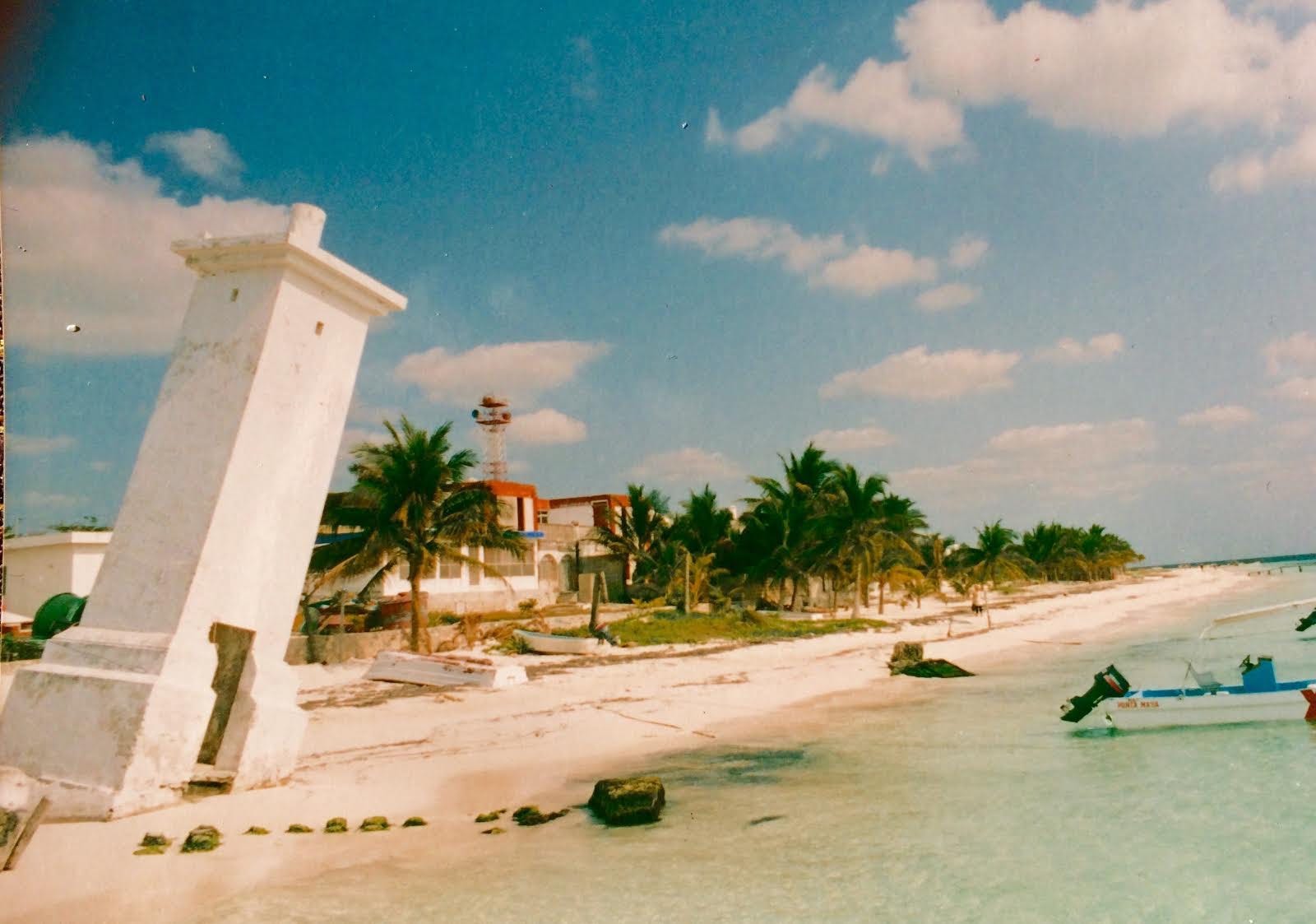 Jeanine Kitchel | Substack