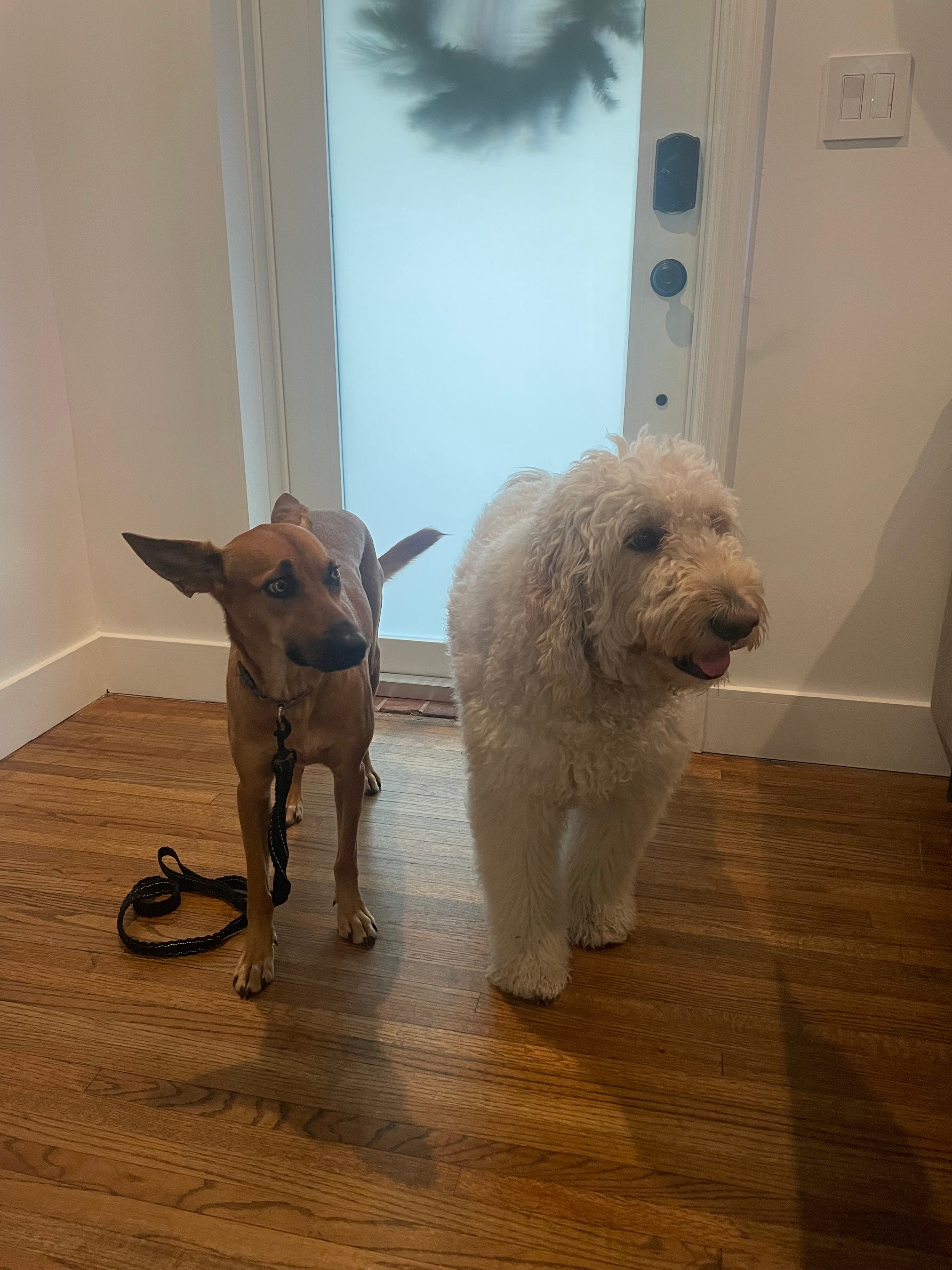 No more nonchalance - by Alexia Valentina Ureña