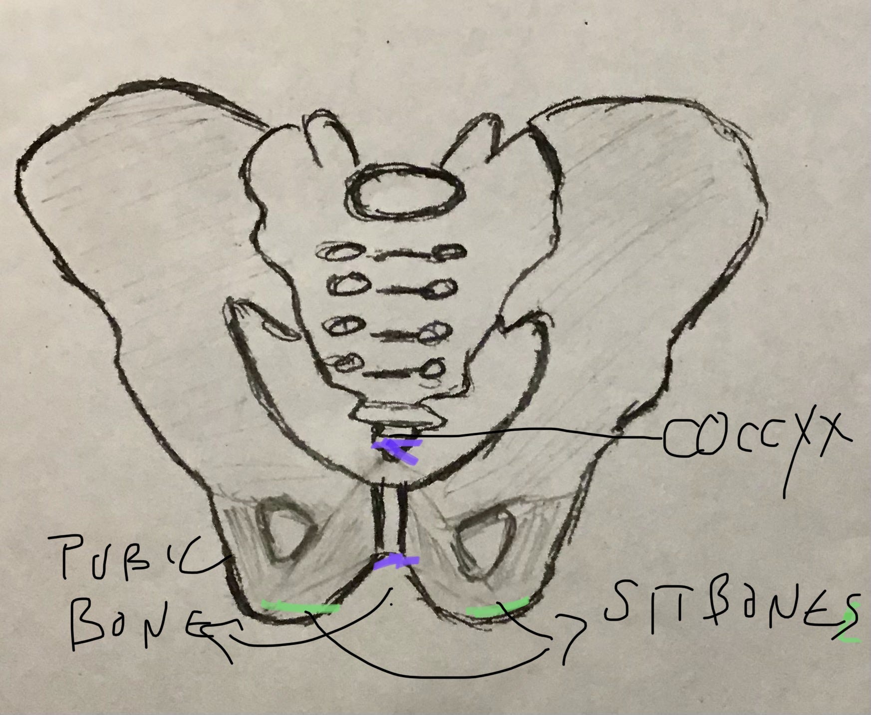 Awareness Through Movement #143 - by Dale Dickins