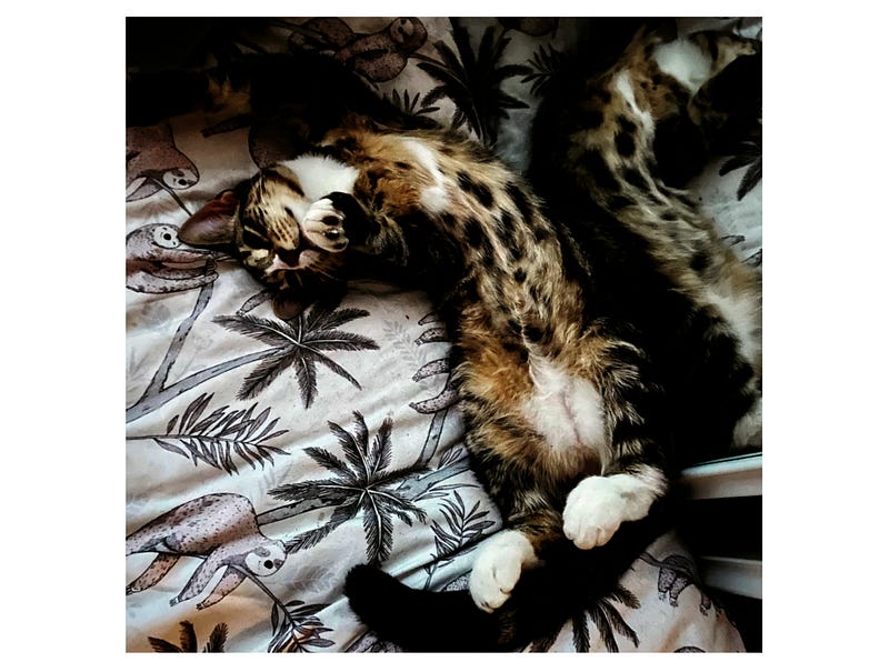 Advanced Core Image - by Jacob Bartlett