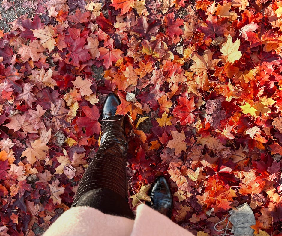 Autumn is in the Air - by Jimmetta Carpenter