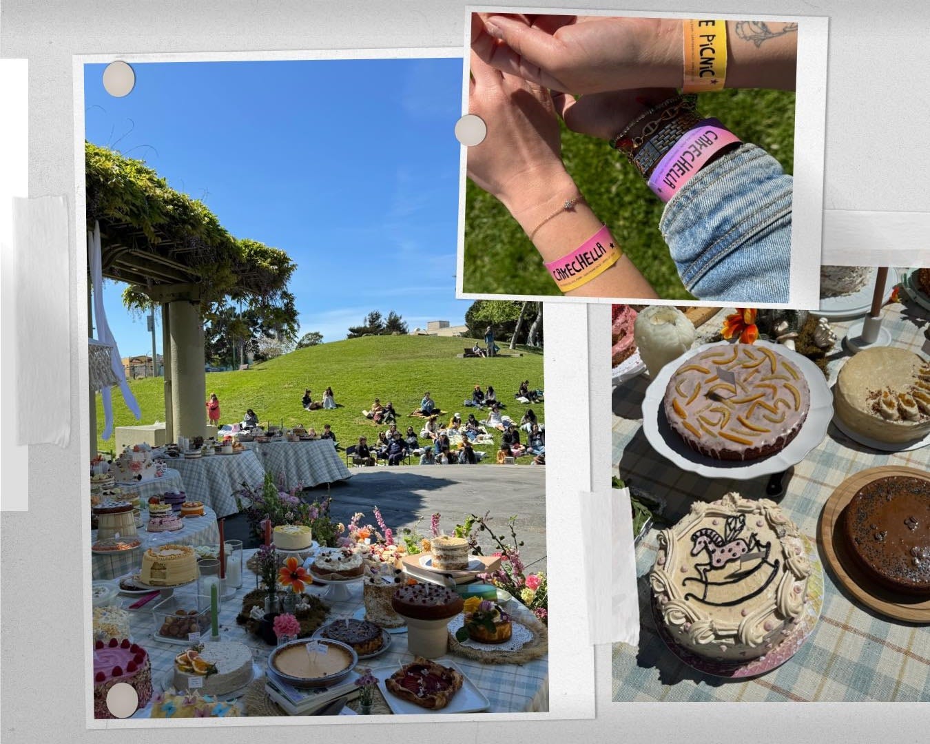 dreaming up a cake picnic - Elisa | saltedrye