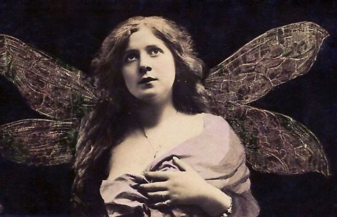 The Vanishing of the Faeries - The Druid Stares Back