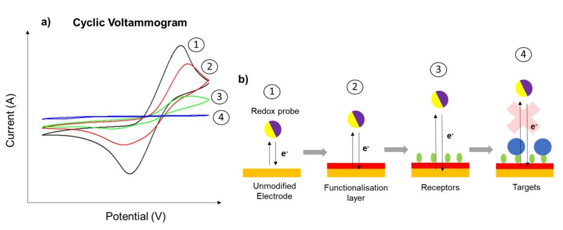 Redox Probes - by Daniel Carroll