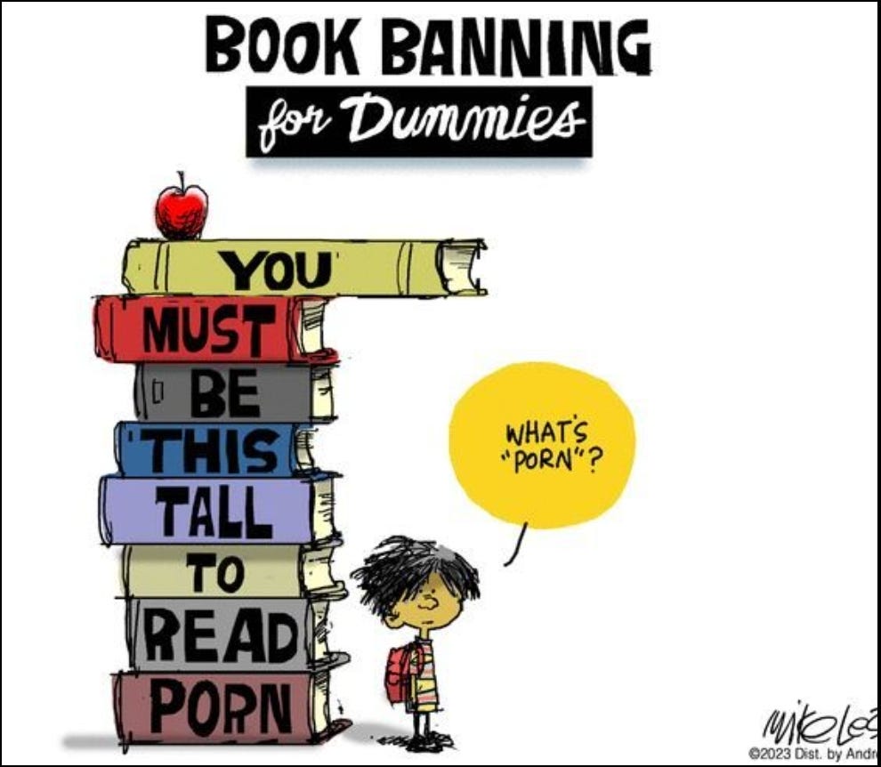 On fire at the local level - LawyerLisa’s Substack