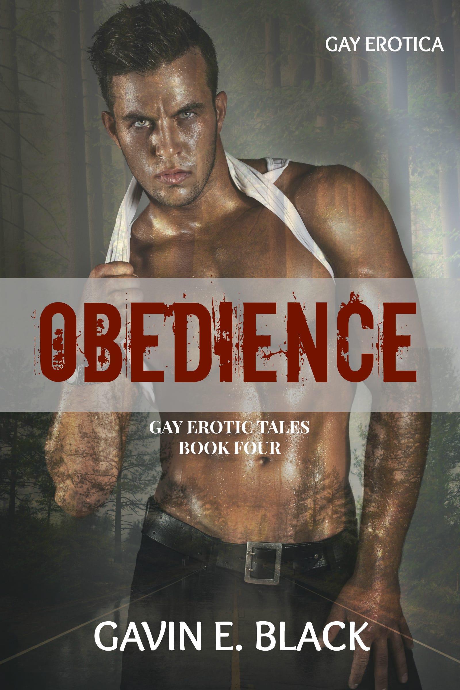 Obedience: Gay Erotic Tales - Book 4 - by Gavin E. Black