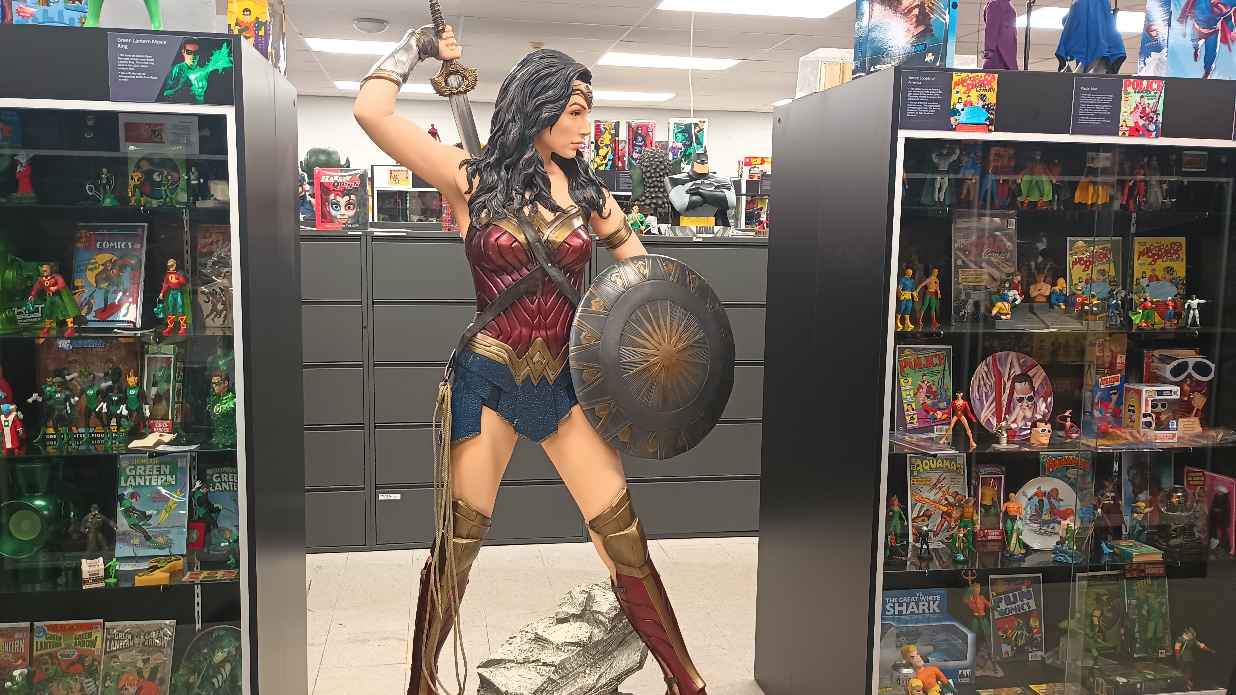 Hall of Heroes Superhero Museum - LibraryDoctor Substack