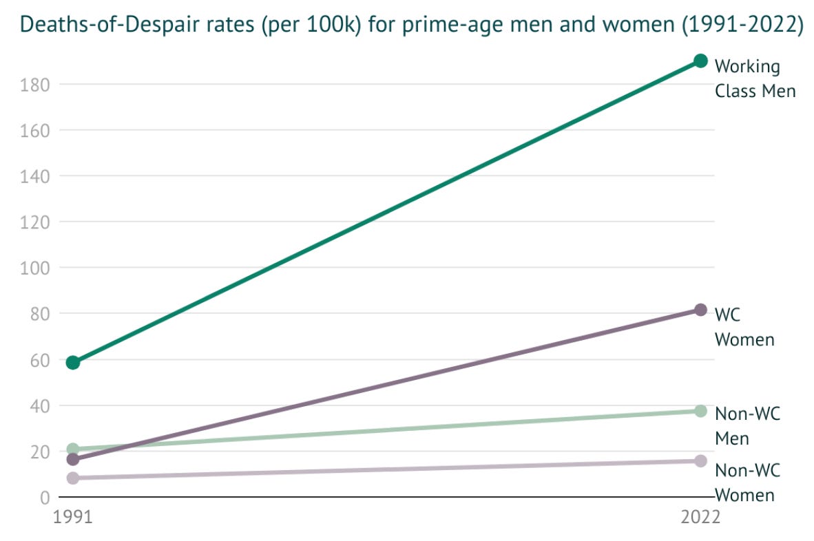 Working class men: a troubling update - by Richard V Reeves