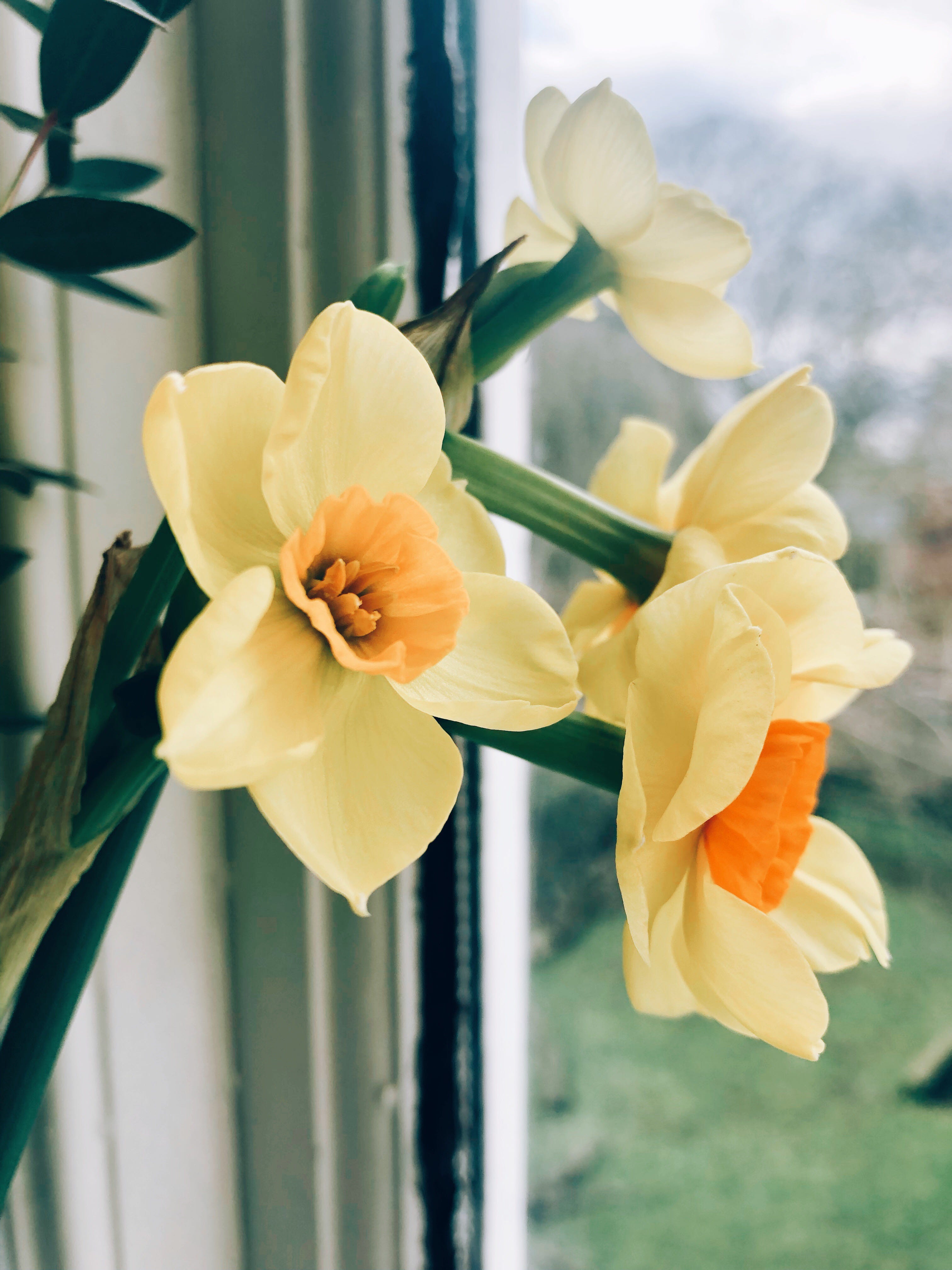 Short Story: Fool's Spring - by Kate Ashmore