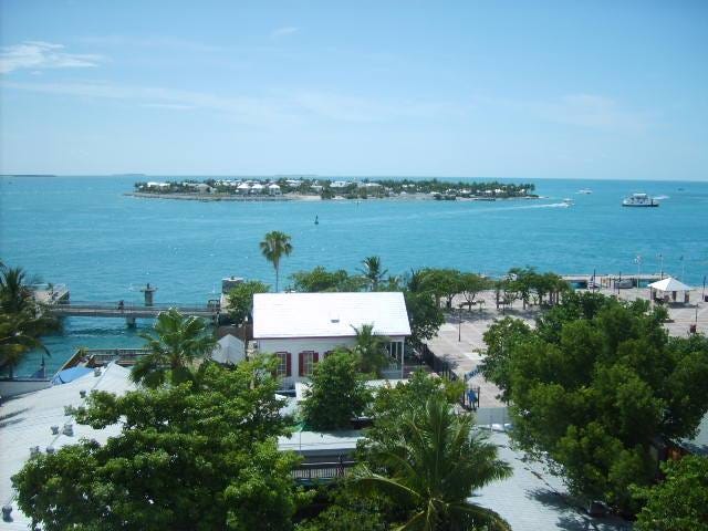 Levels of Connection - Suzy’s Stories and Stuff