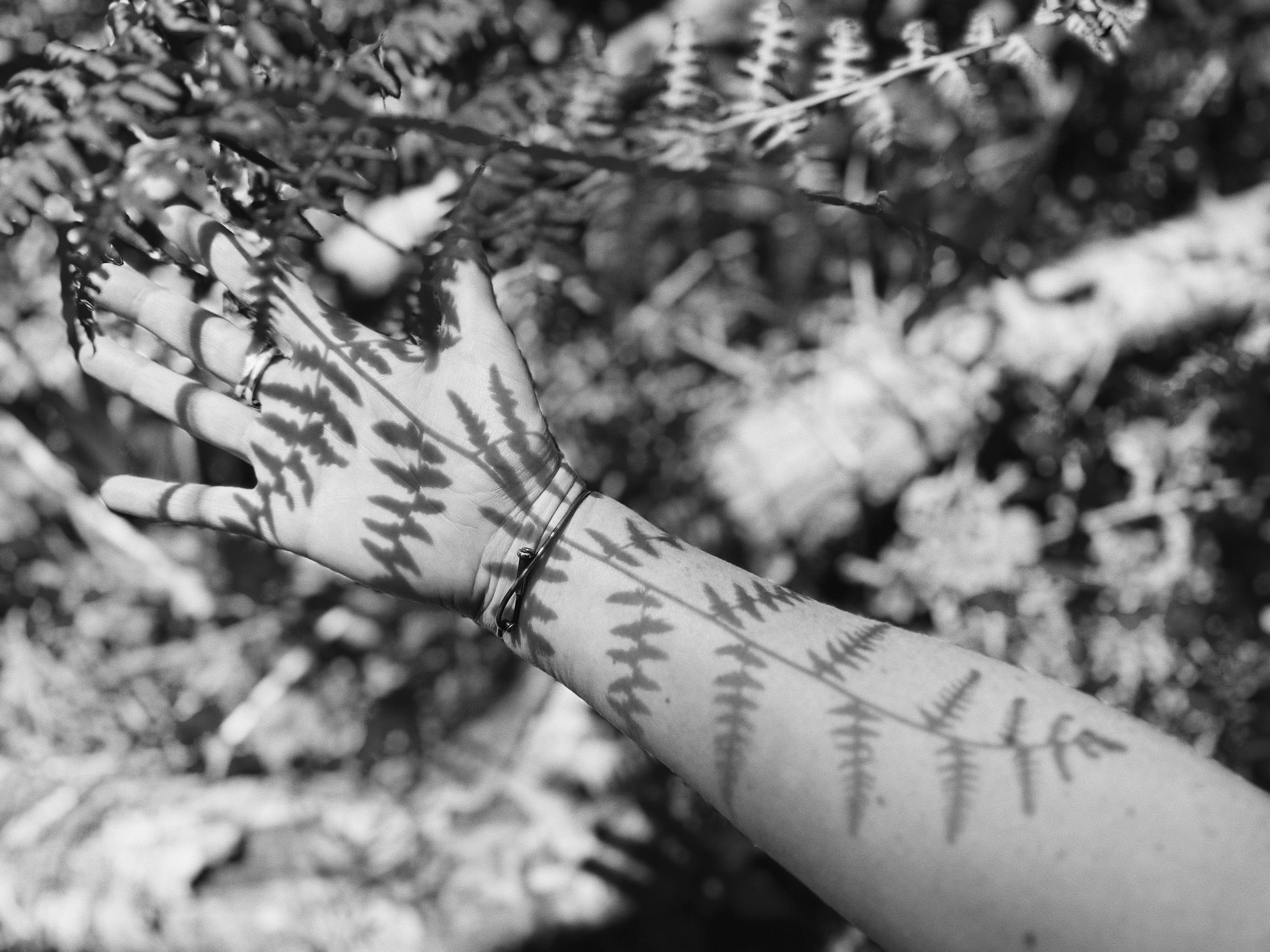 Exploring the Shadows - Creative Fuel with Anna Brones