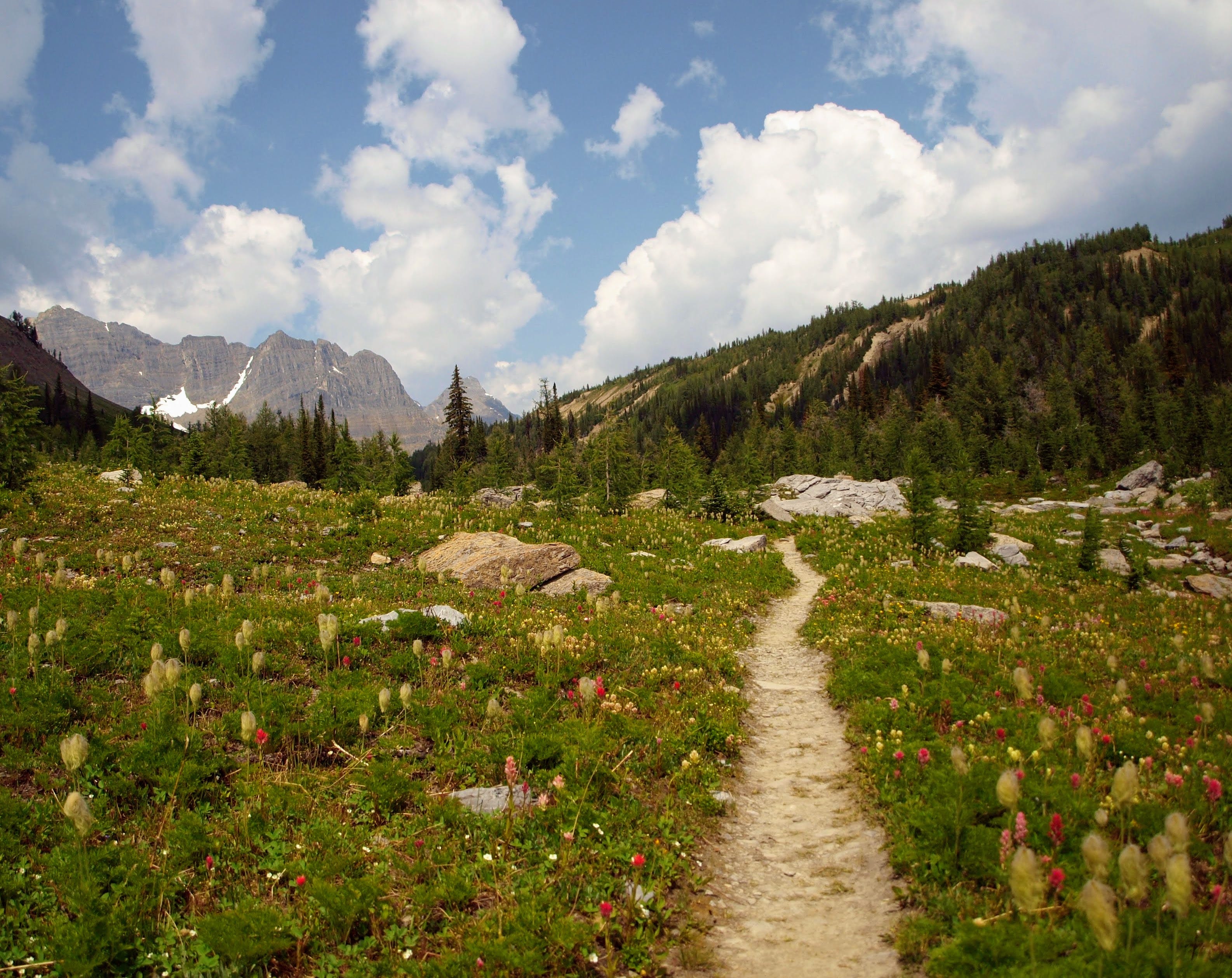 The Rockwall Trail Part 2 - by Adam Sawyer
