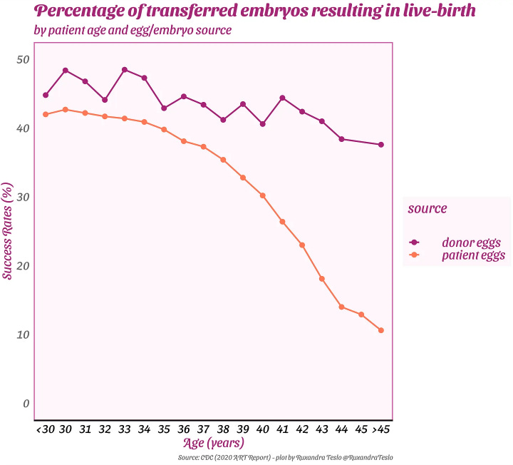State-Subsidized Egg Freezing: A Solution to Declining Fertility Rates?