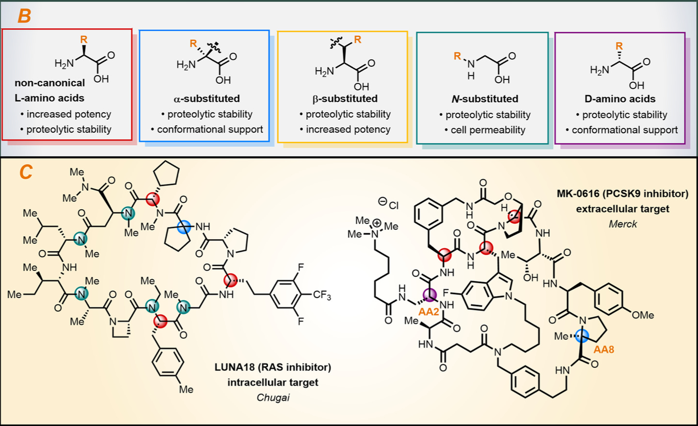 Unnatural Amino Acids - Dimension Research