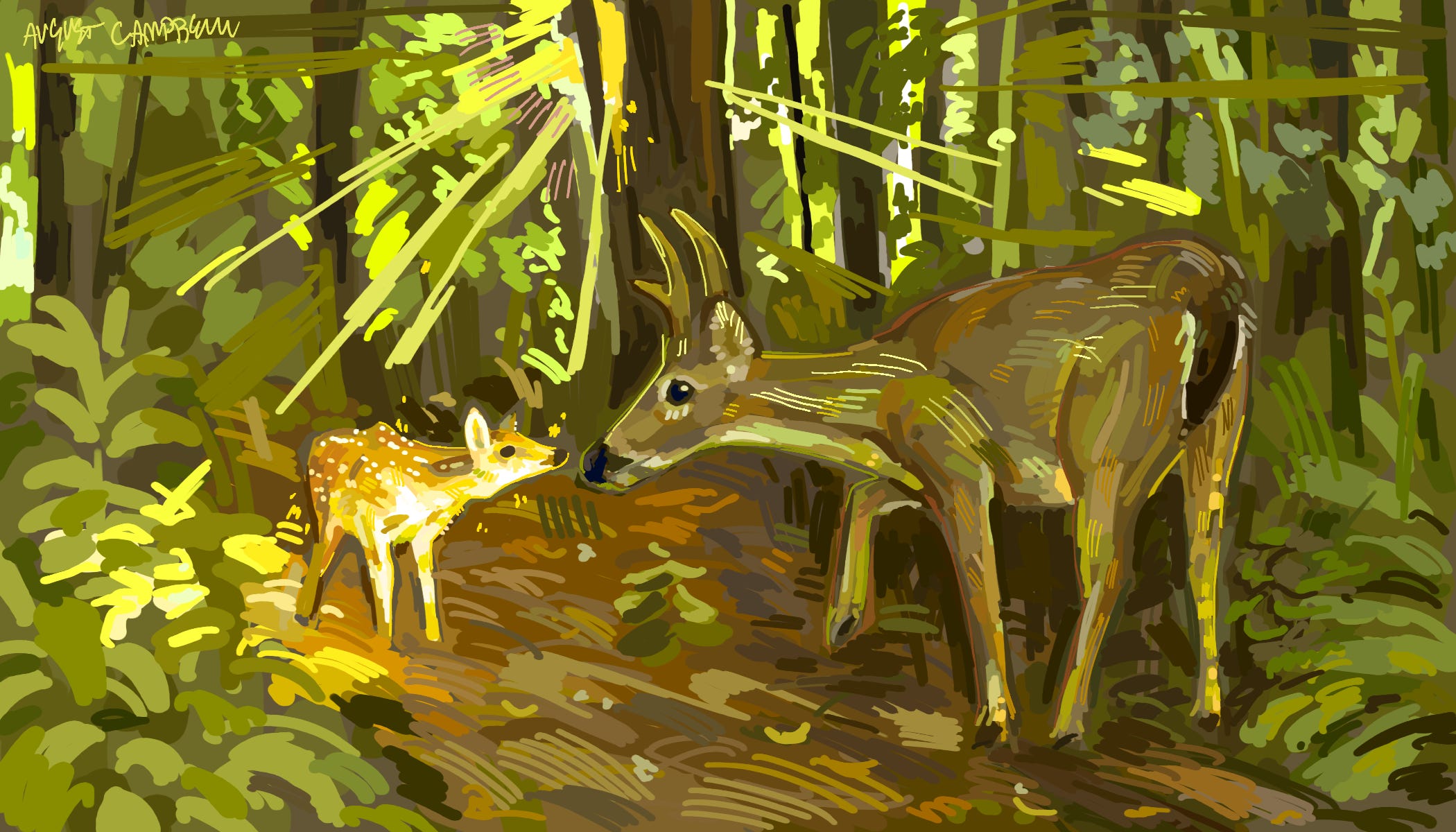 november art! - august campbell monthly