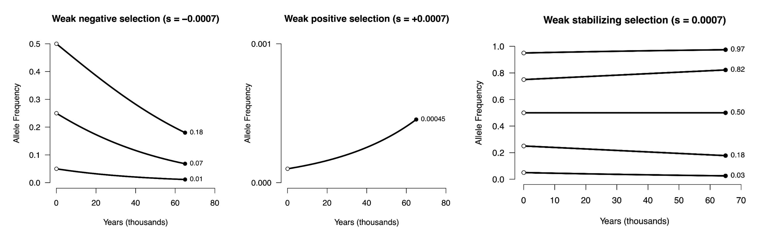 Where are the recent selective sweeps? - by Sasha Gusev