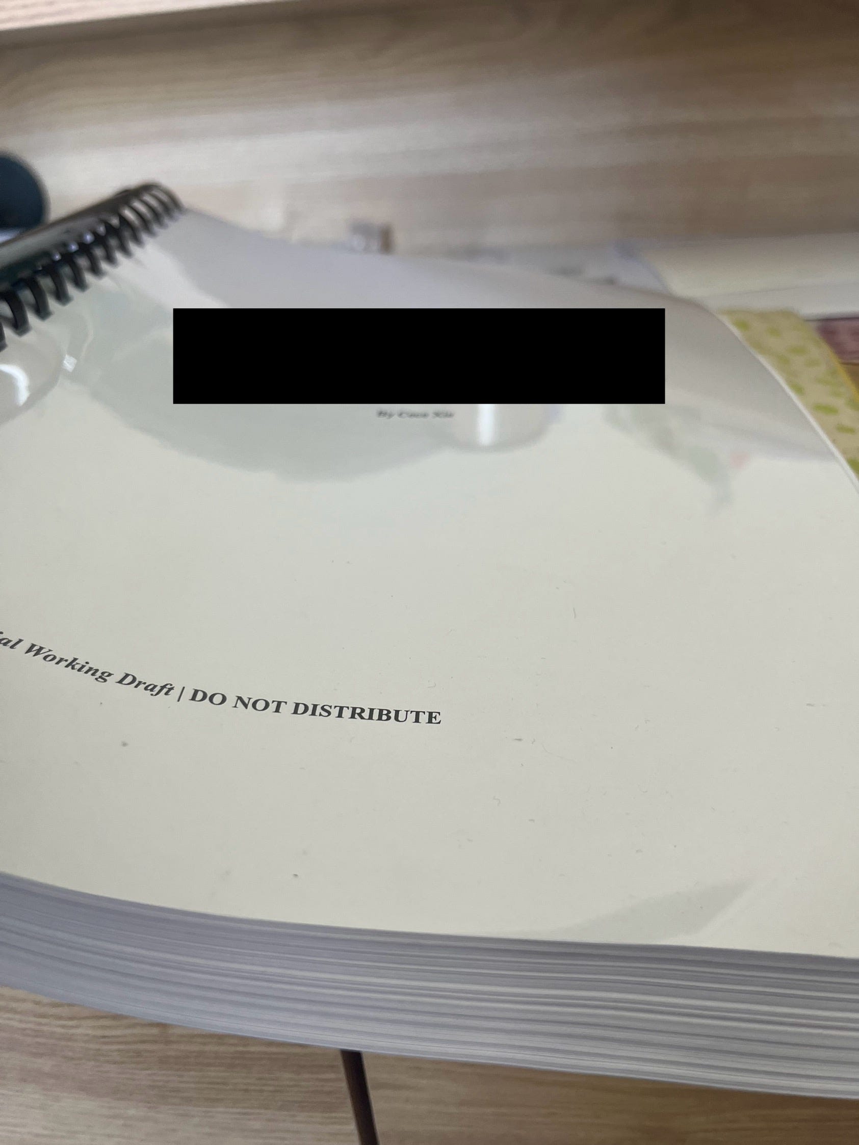 new year, third draft - debrief with cece xie