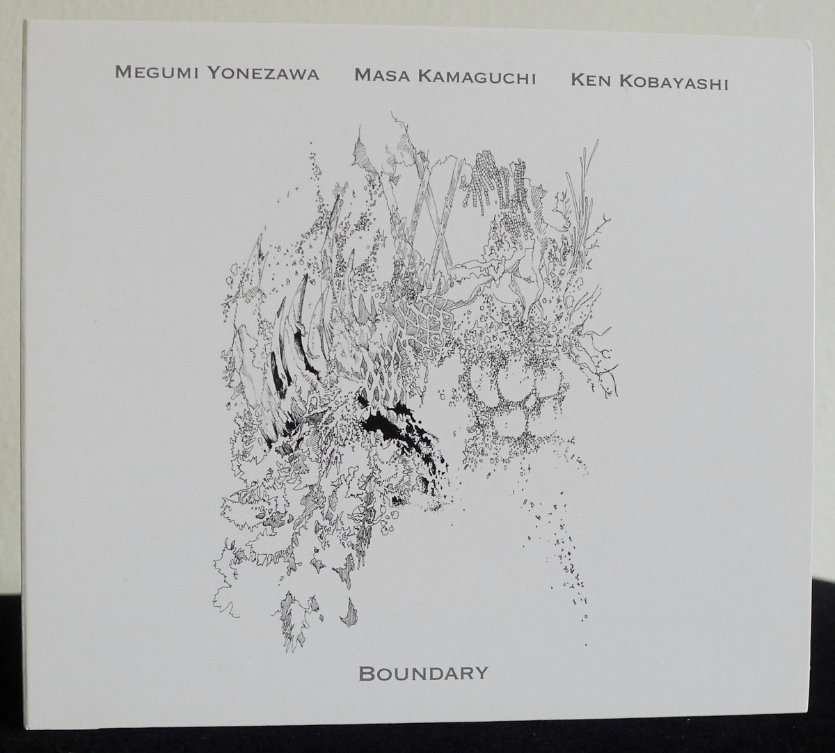 Megumi Yonezawa / Masa Kamaguchi / Ken Kobayashi: Boundary