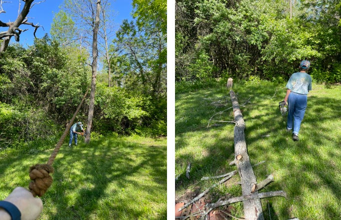 A day on a farm - by Ethan Evans and Jason Yoong