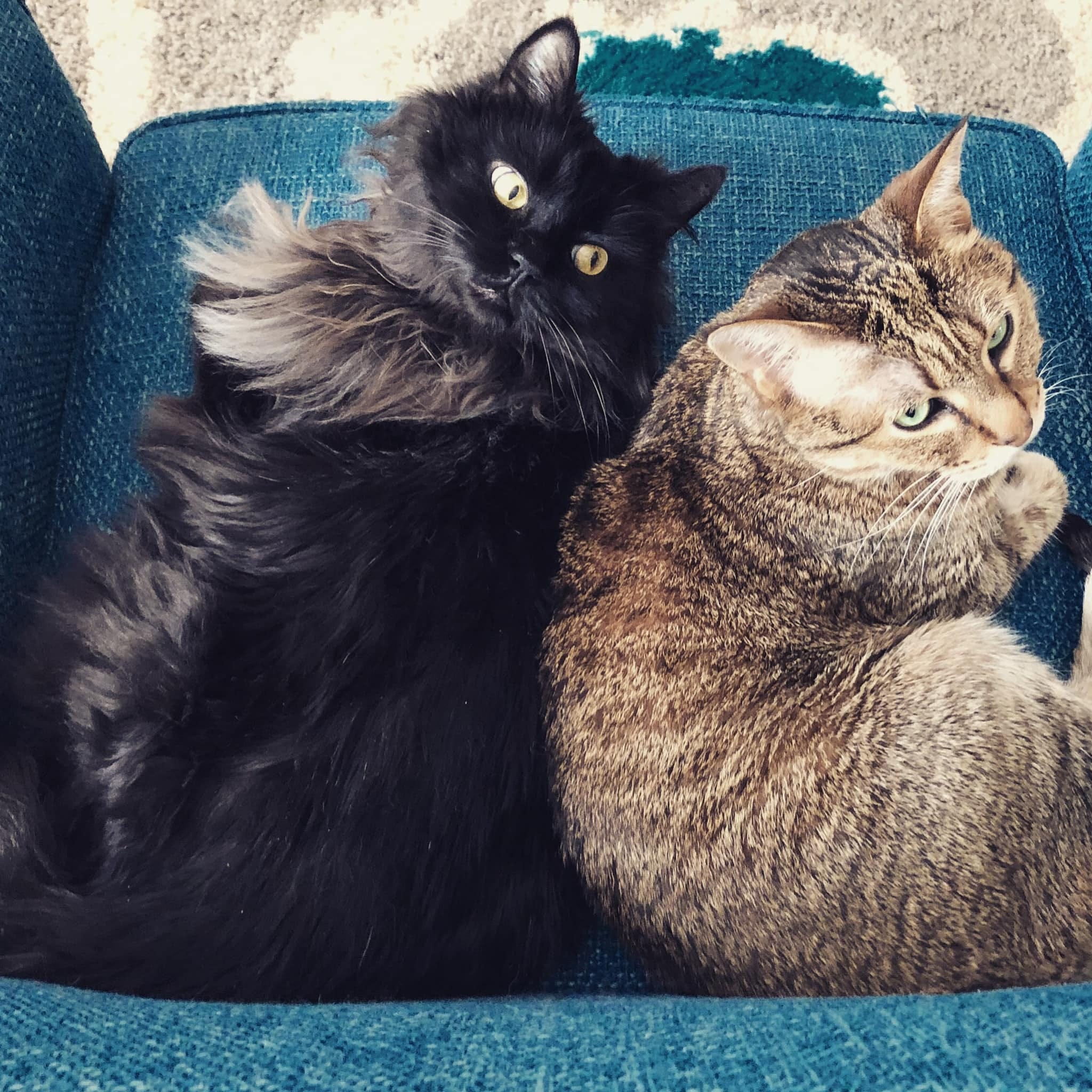 When Pathology Becomes Personal - by Eric Fish, DVM, PhD