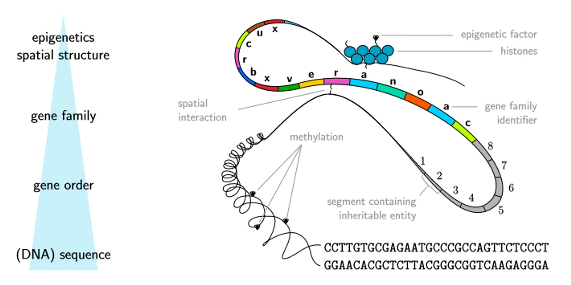 Introducing spatial epigenomics and transcriptomics profiling