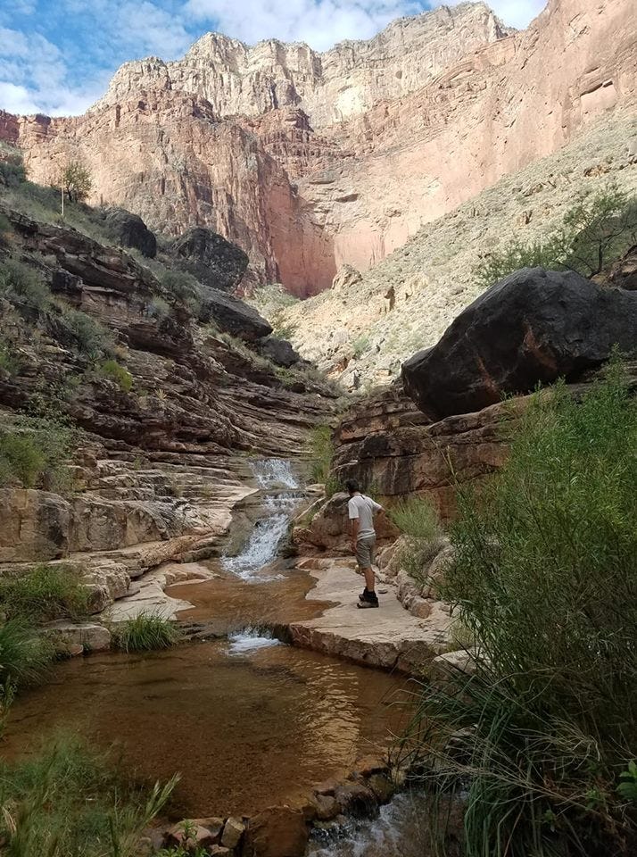 Project 2025 and Public Lands - by Dave Van Manen