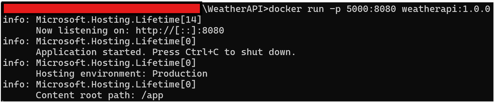 Run Your .NET 8 API in a Docker Container (BEGINNER)
