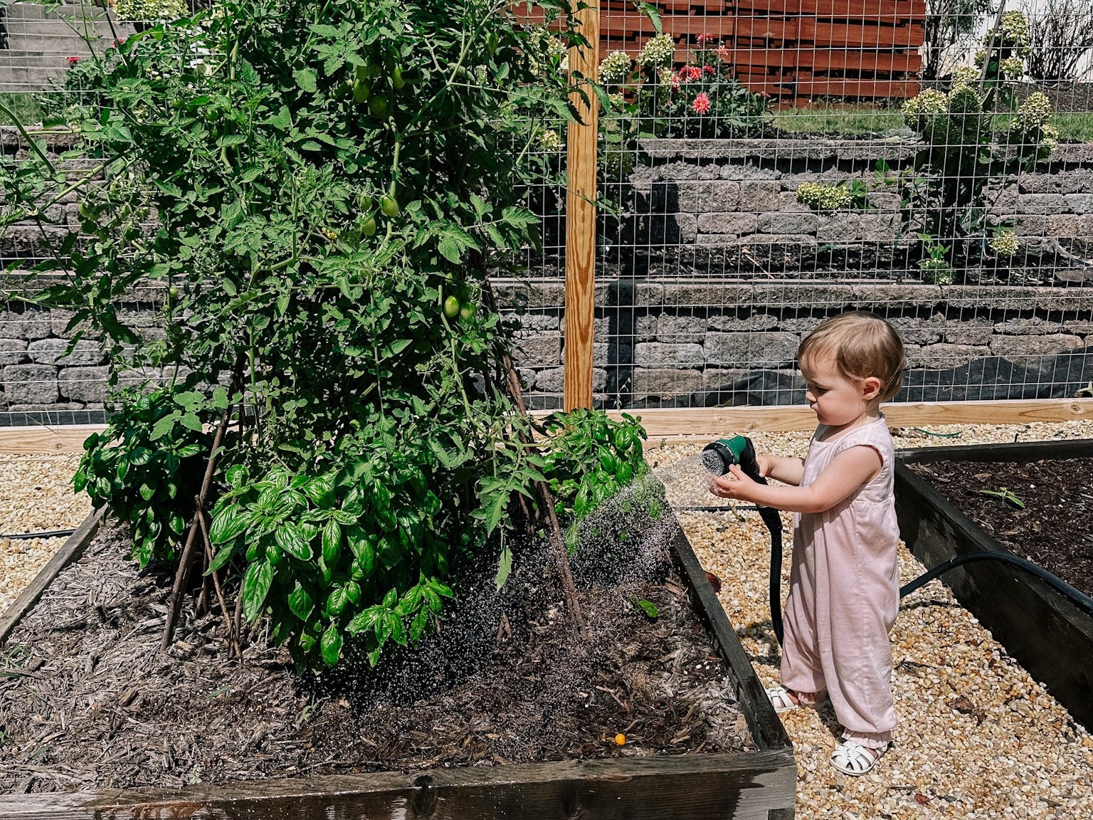 We Always Weekly Vol. 13: A Joyful Garden - by Julie Kilcur